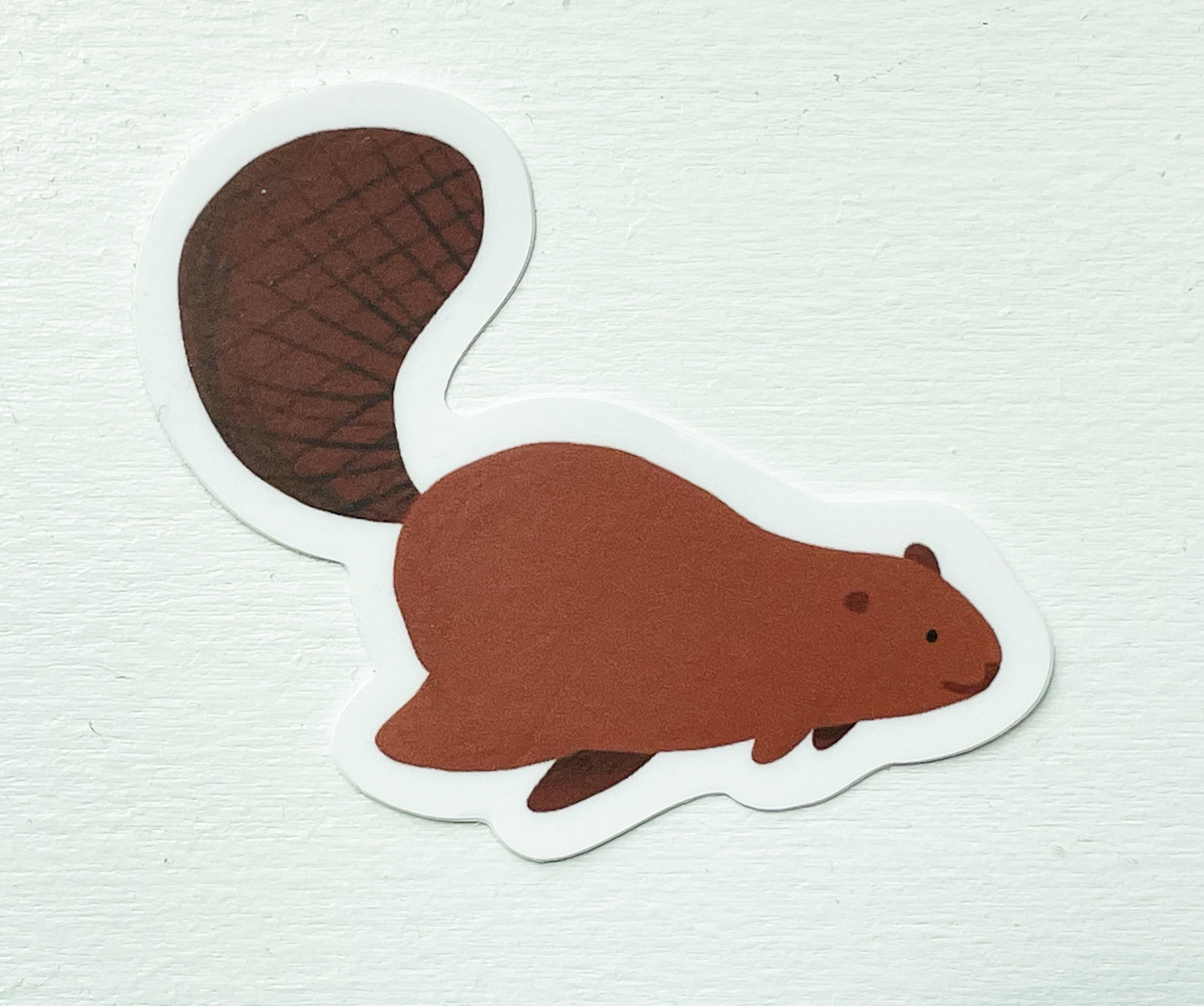Mr. Beaves the Beaver Beaver Sticker Water Bottle Sticker - Etsy