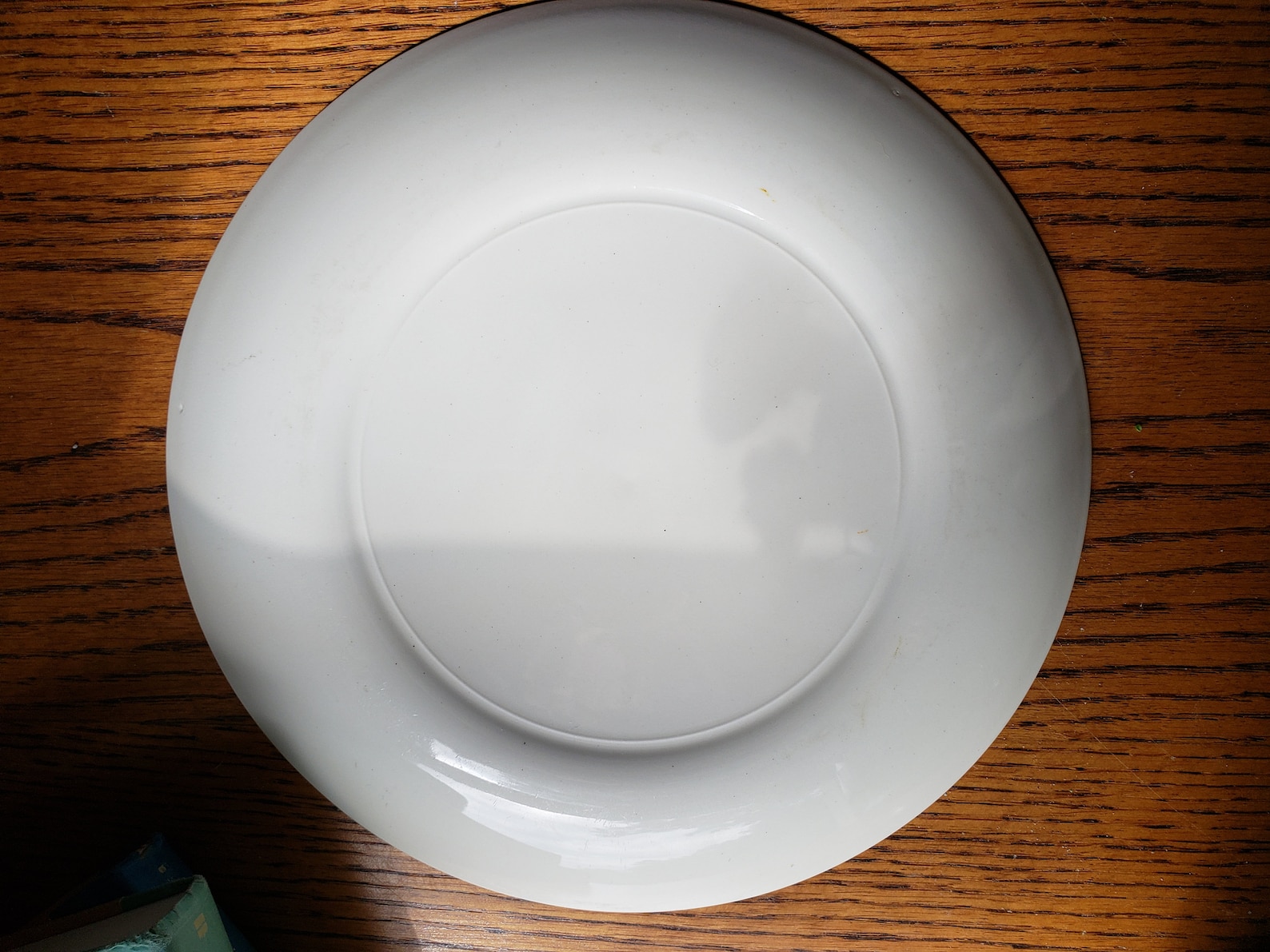 China Plate, Blue Border, Floral Pattern, Mint Blue, Dinner Plate ...
