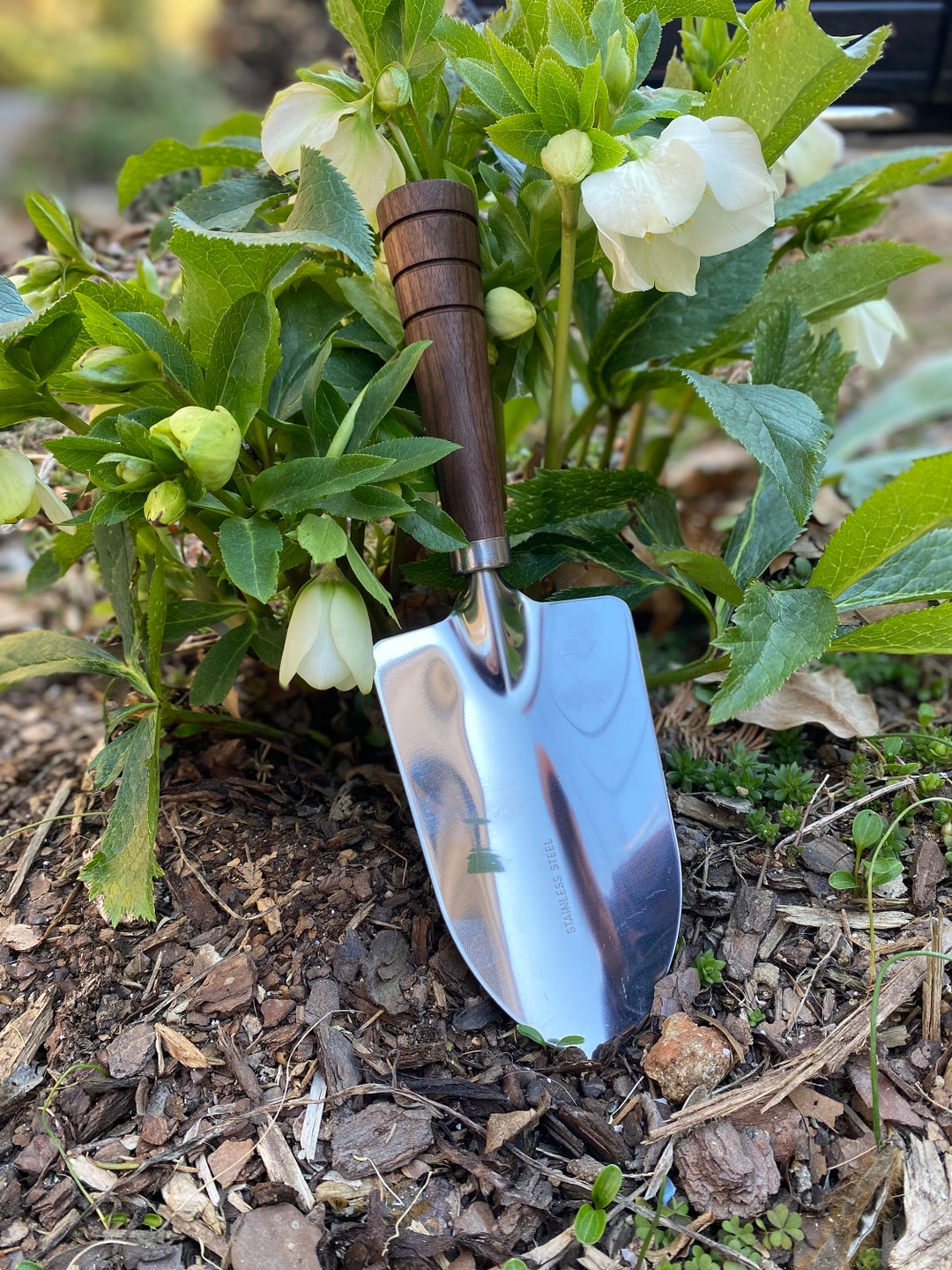 Handcrafted Stainless Steel Garden Spade Shovel With Walnut Handle ...