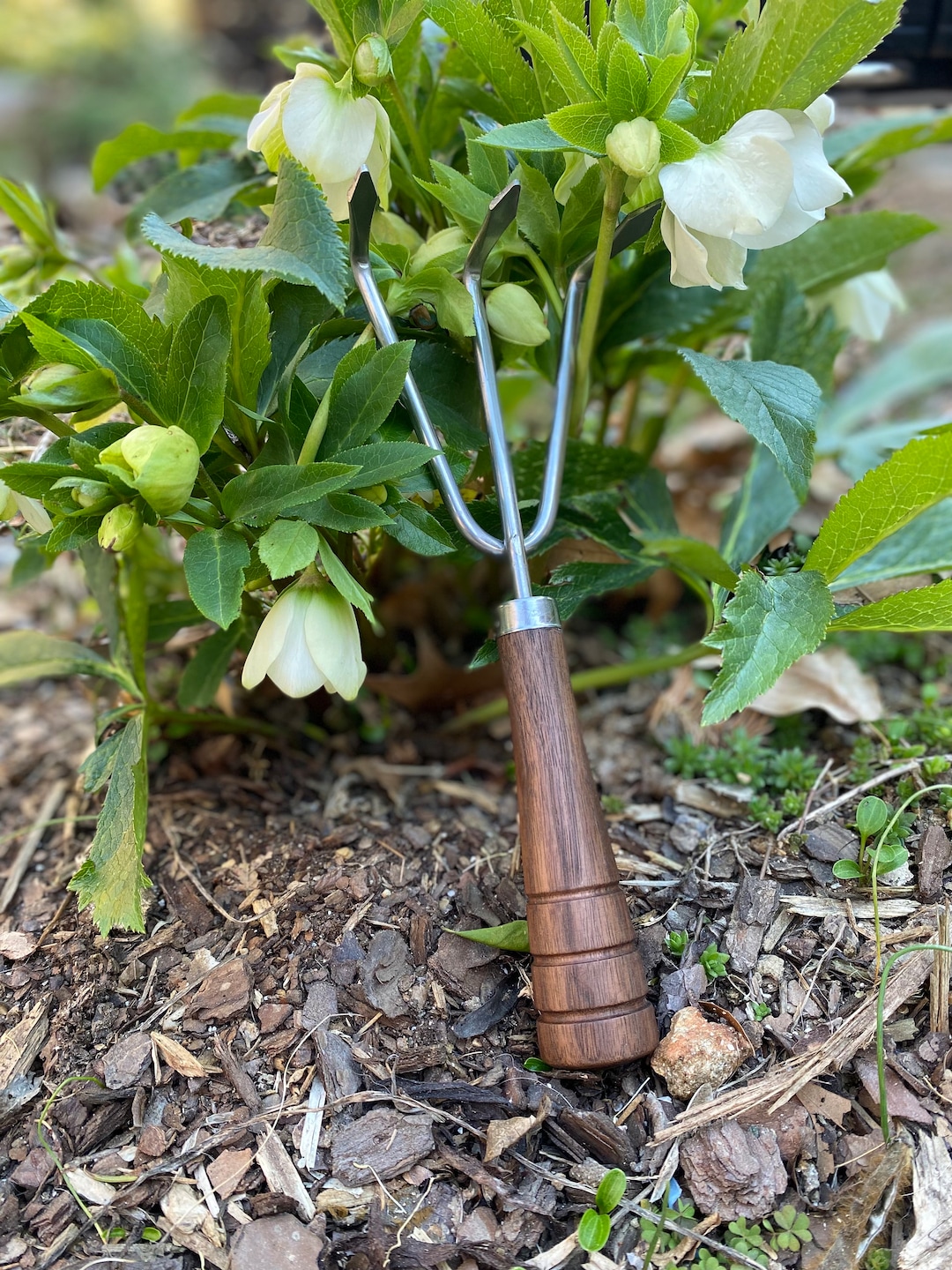 Handcrafted Stainless Steel Garden Rake With Walnut Handle - Durable ...