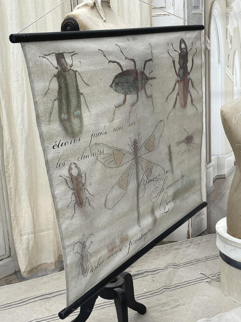 Scroll Painting Insects*** - Etsy