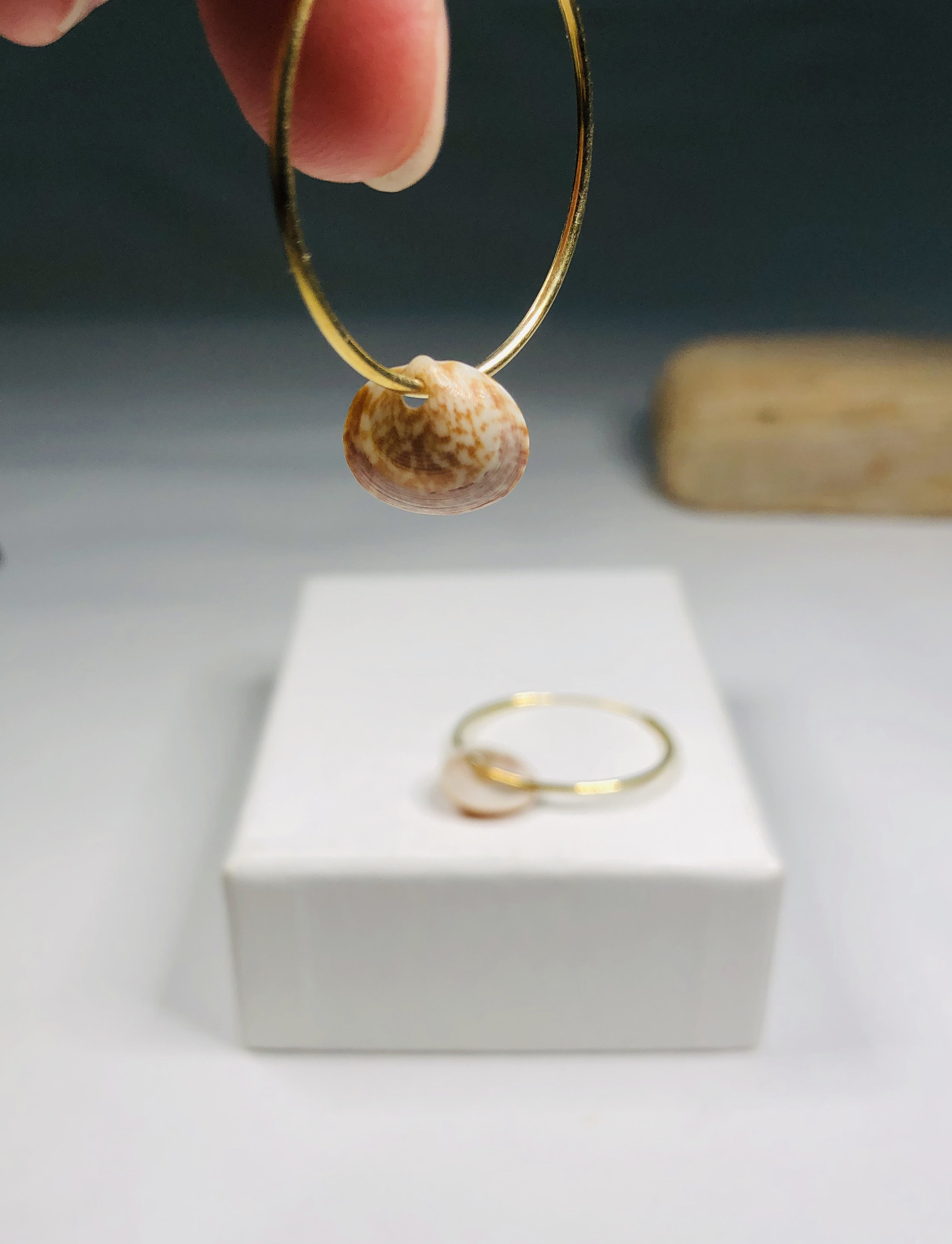 Hello Shell, Gold Plated Sterling Silver Hoop Earrings - Etsy Canada