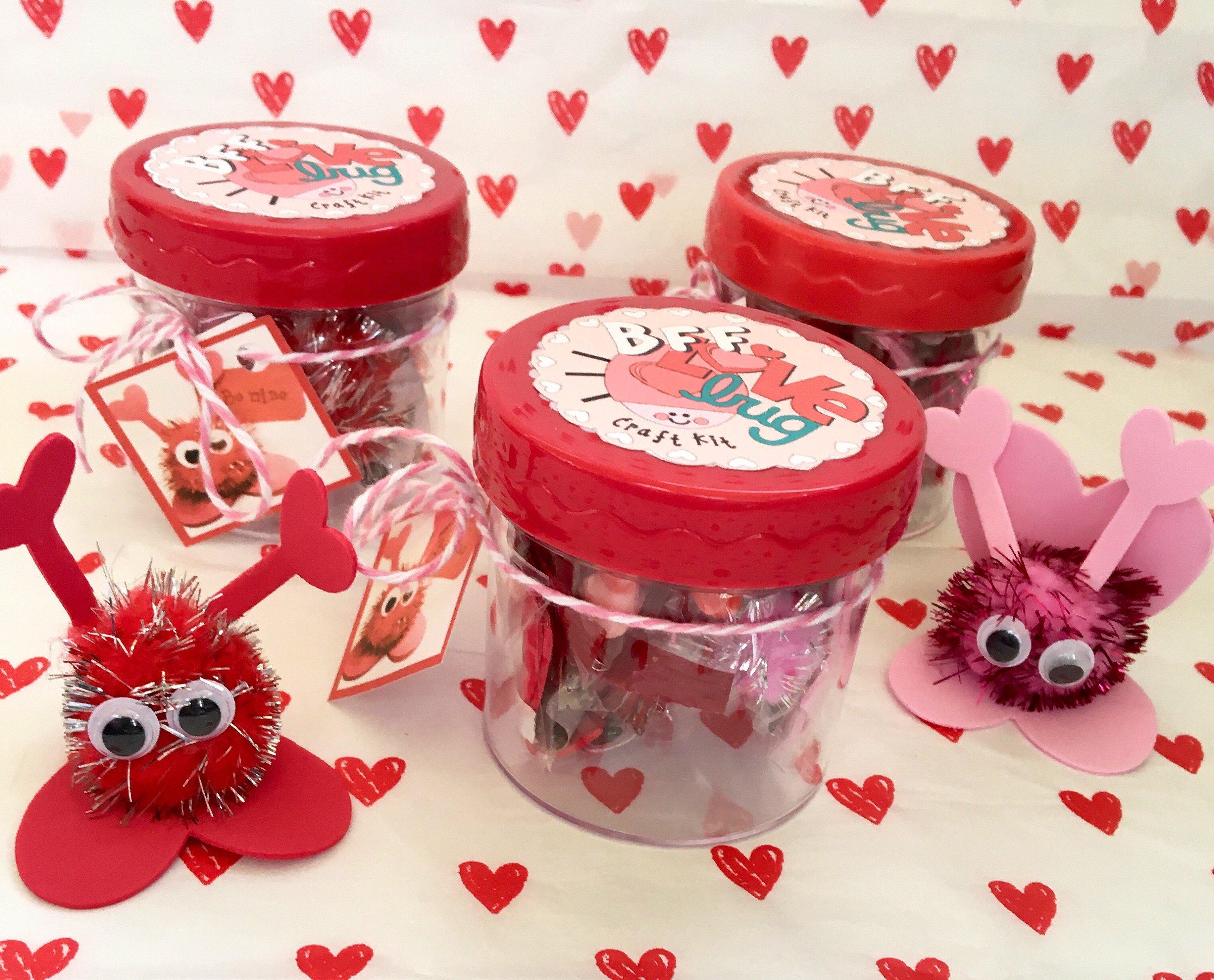 Love Bug Mini DIY Kit Best Friends Valentines Day Craft Valentines Day ...
