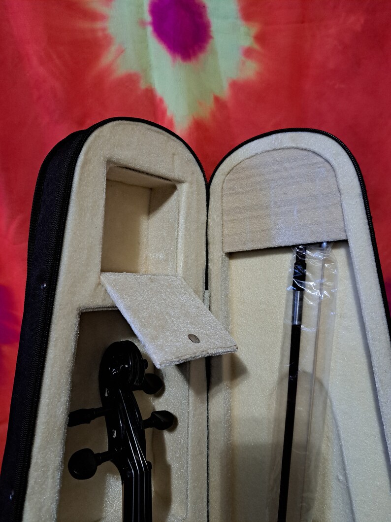 Custom Painted Violin Case With Violin and Tuner - Etsy