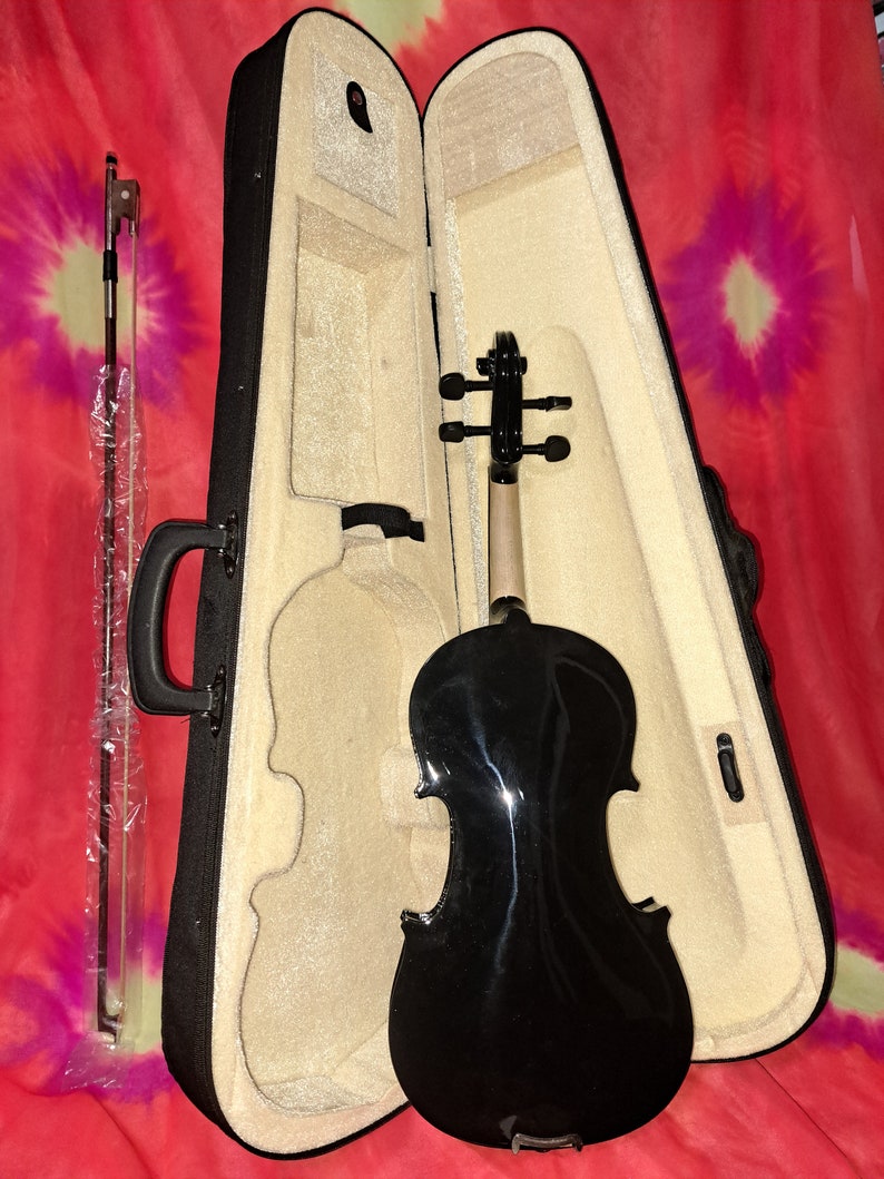 Custom Painted Violin Case With Violin and Tuner - Etsy