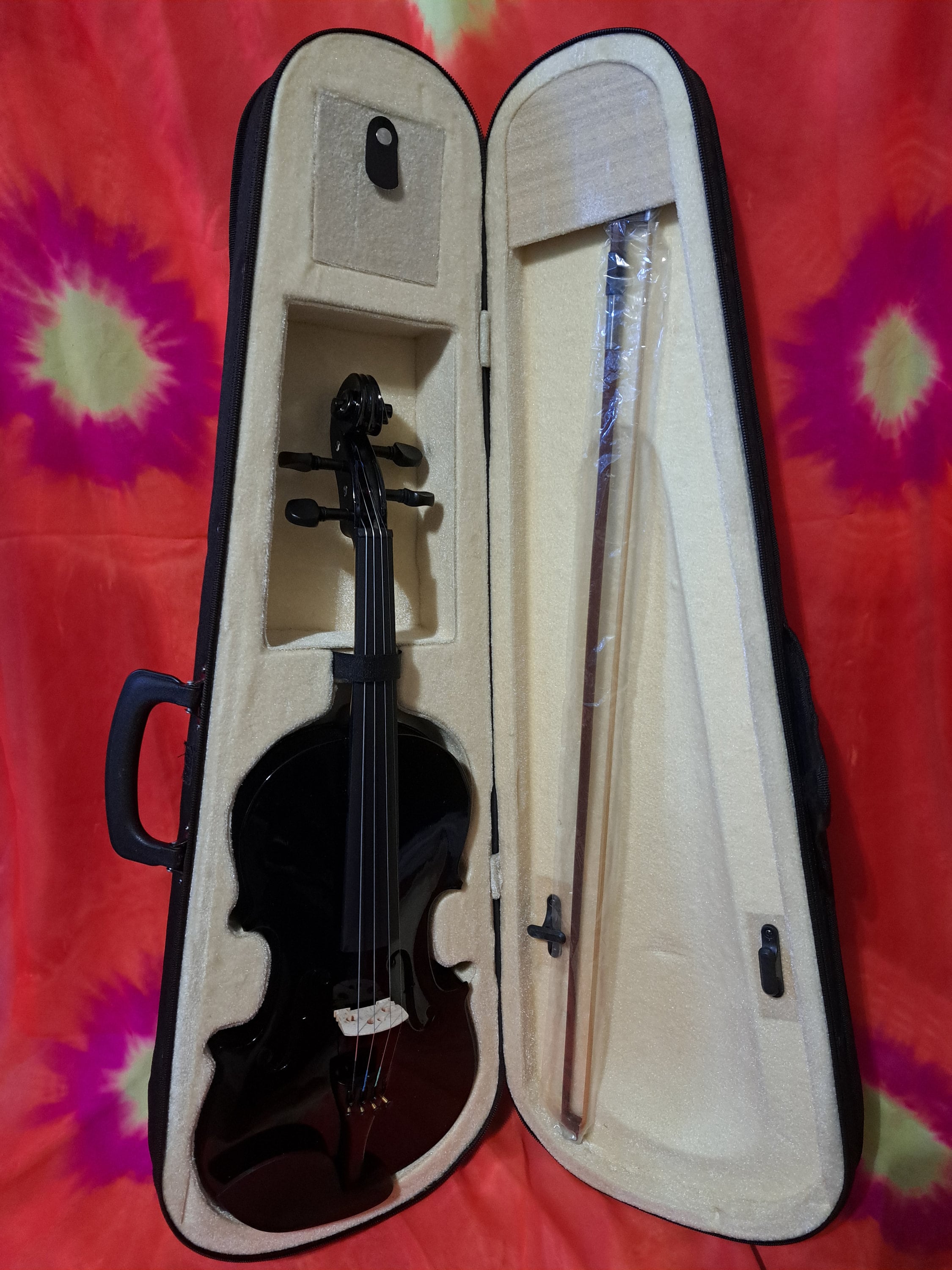 Custom Painted Violin Case With Violin and Tuner - Etsy