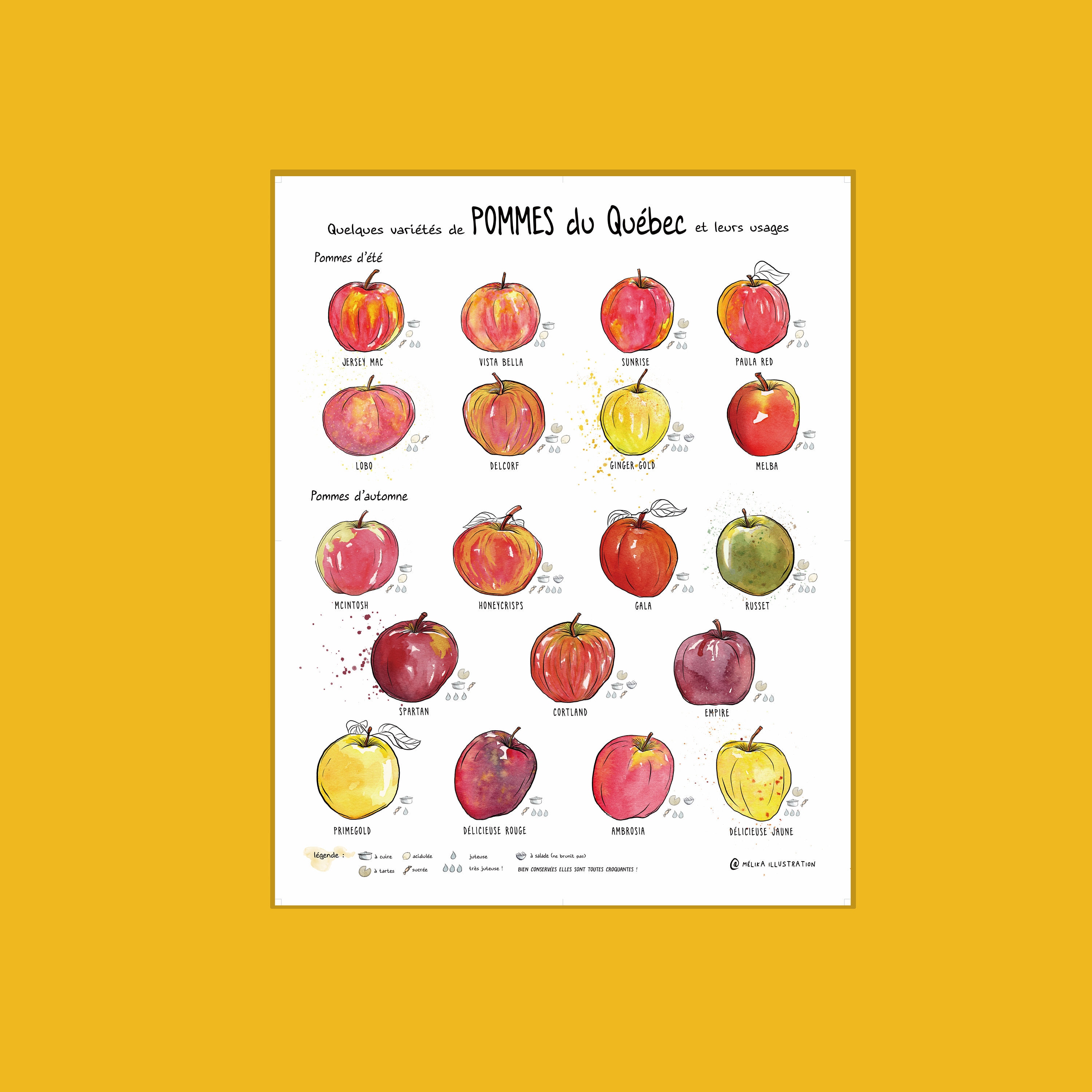 Affiche - Les Variétés De Pommes Du Quebec - Etsy Canada