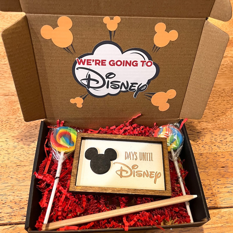 Disneyworld Surprise Box - Etsy