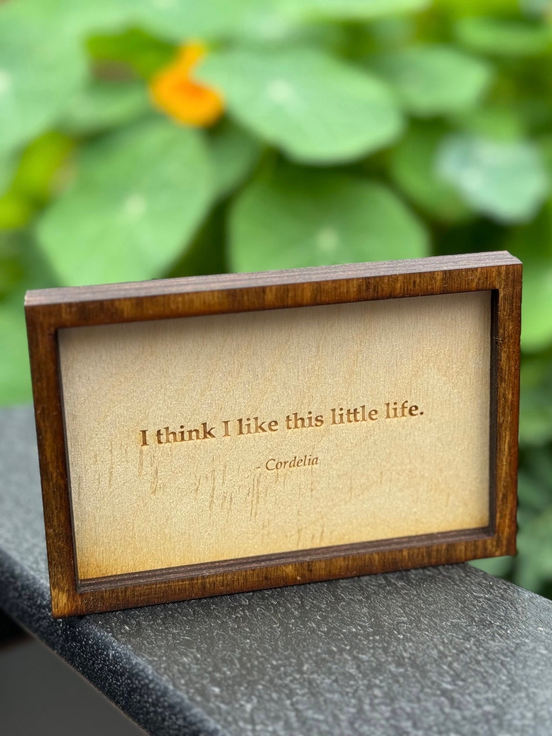 Small I Think I Like This Little Life Quote Framed Sign - (3" X 4.5 ...