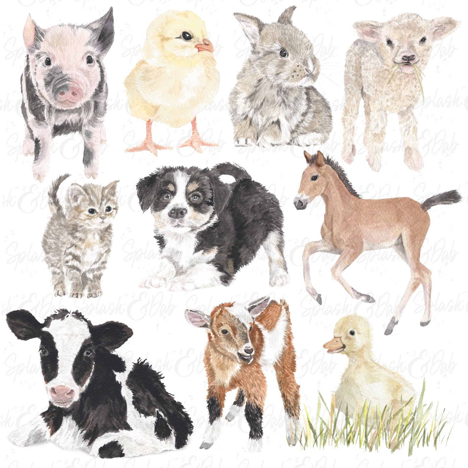 Watercolor Clipart Baby Farm Animals Puppy Bunny Kitten - Etsy