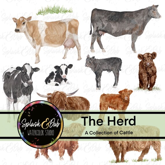 Watercolor Cattle Clipart Cows Calves Calf Dairy Cows | Etsy