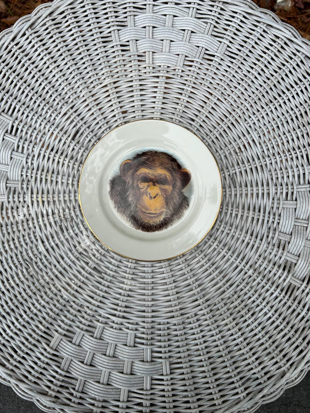 Vintage Pickard China Hand Decorated Chimpanzee 6 Inch Plate - Etsy
