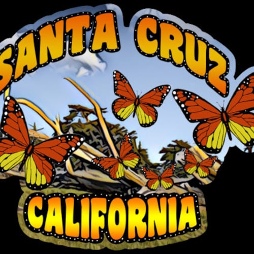 Santa Cruz Sticker Decal for Water Bottle California | Etsy
