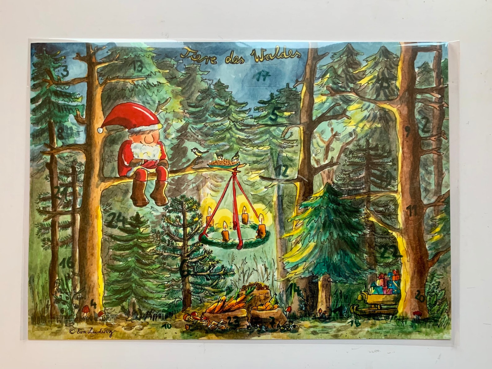 Advent Calendar Animals of the Forest - Etsy