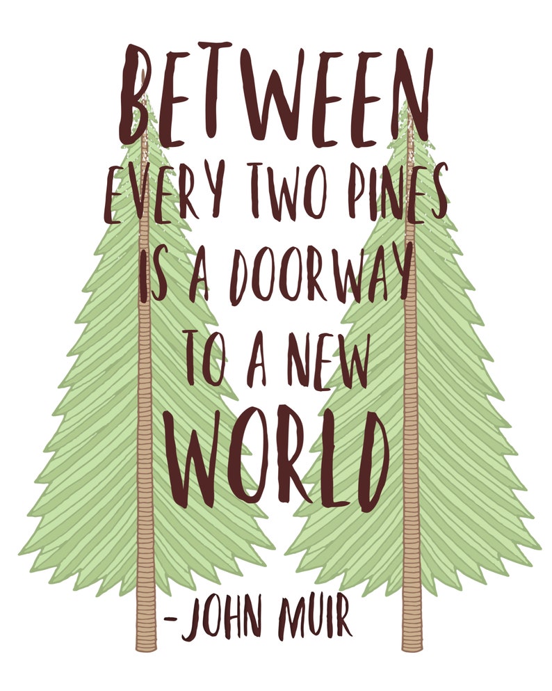 John Muir Quote between Every Two Pines is a Doorway to a New - Etsy