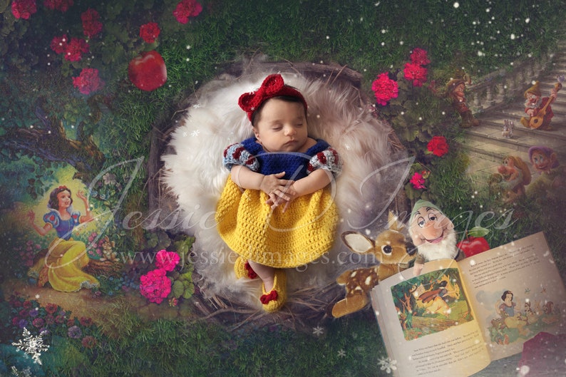 Snow White Newborn Digital Background - Etsy Australia