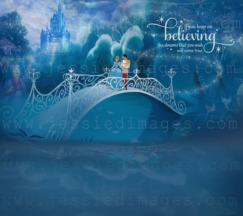 Cinderella Themed Digital Backdrop - Etsy