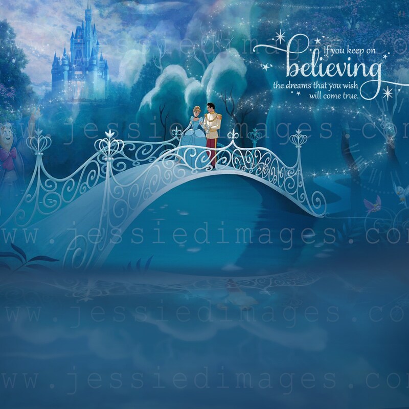 Cinderella Backdrop - Etsy