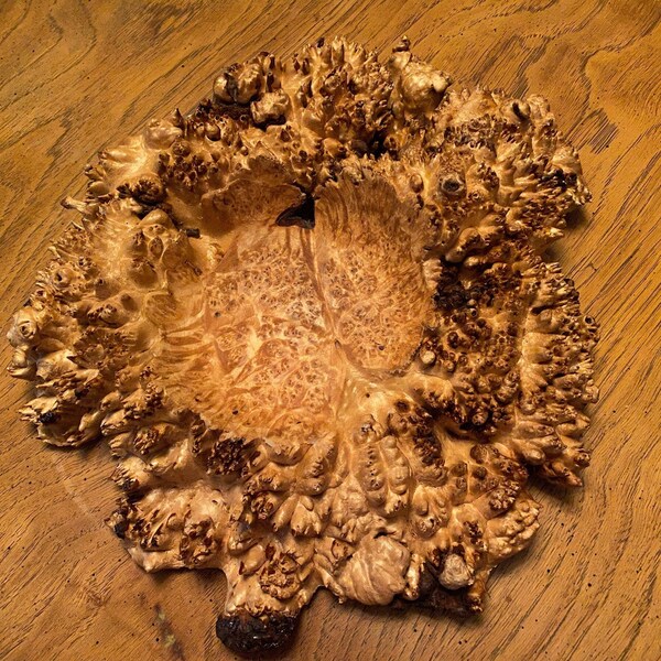 Burl - Etsy