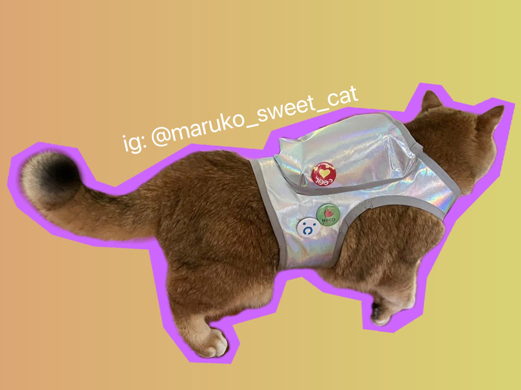 Stray the Game Custom Made Cat Vest Costume & Buttons / - Etsy