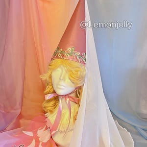 Customize Medieval Hennin Princess / Clown / Witch Hat Atelier Cosplay ...