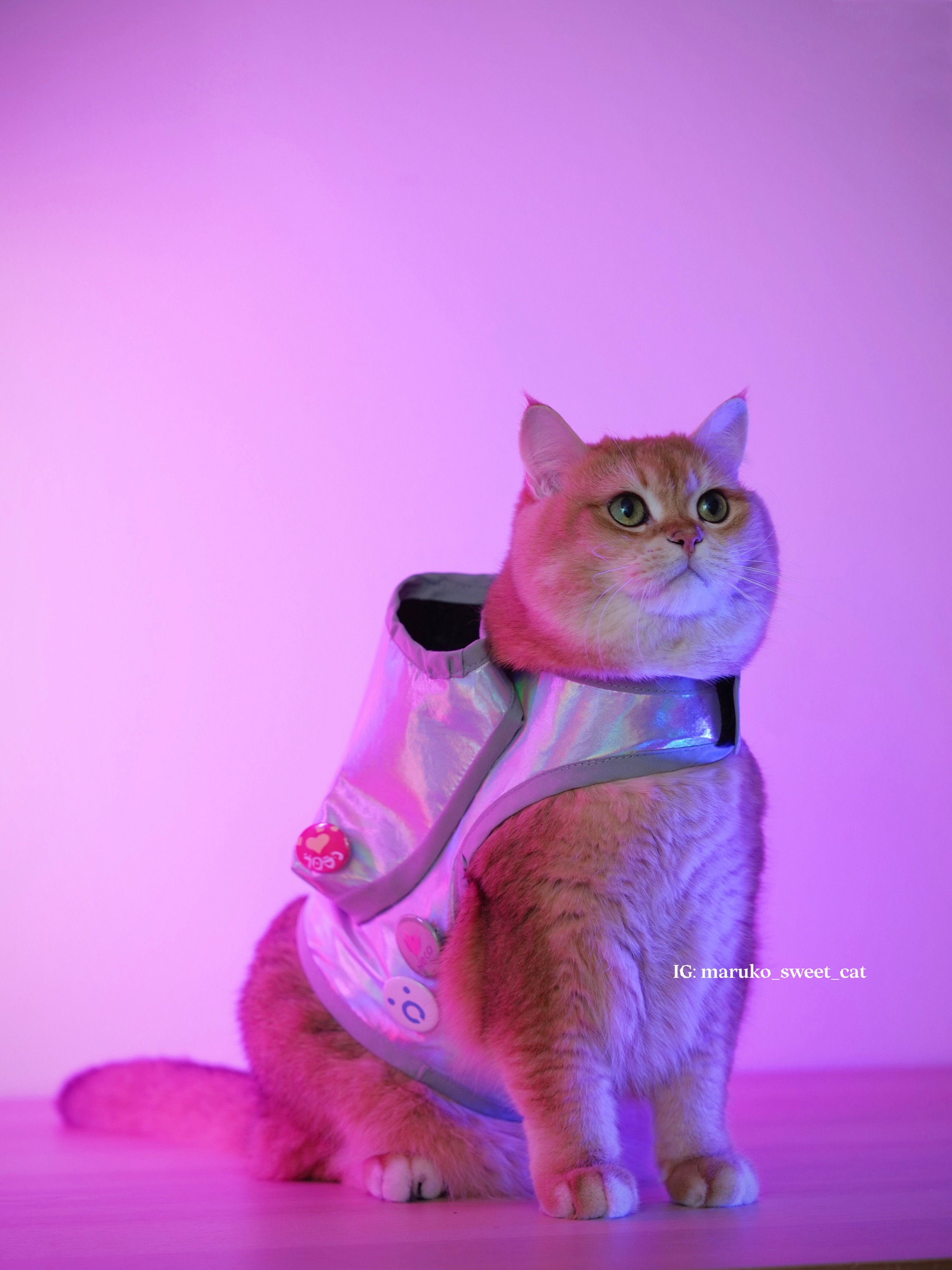 Stray the Game - Custom Made Cat Vest Costume & Buttons / Badges - Etsy