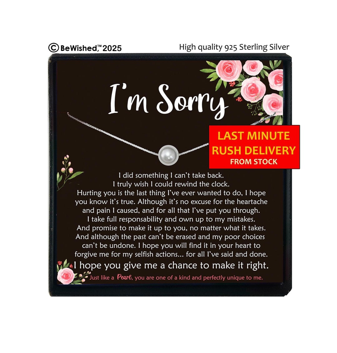 LAST MINUTE Apology Gift, I'm Sorry Gift Necklace for Her, Please ...