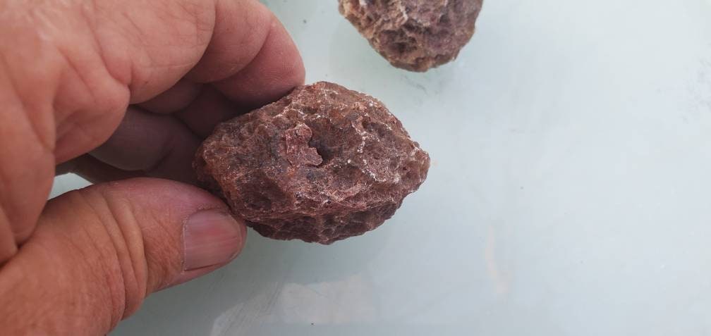 Oklahoma State Rock Mineral, Barite Baryte Rose Rock Crystals, 6 Extra ...