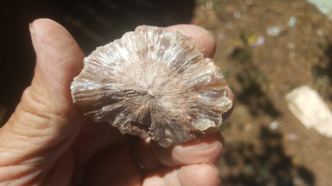 Oklahoma State Rock Mineral, Barite Baryte Rose Rock Crystals, One ...