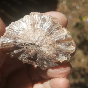 Oklahoma State Rock Mineral, Barite Baryte Rose Rock Crystals, One ...