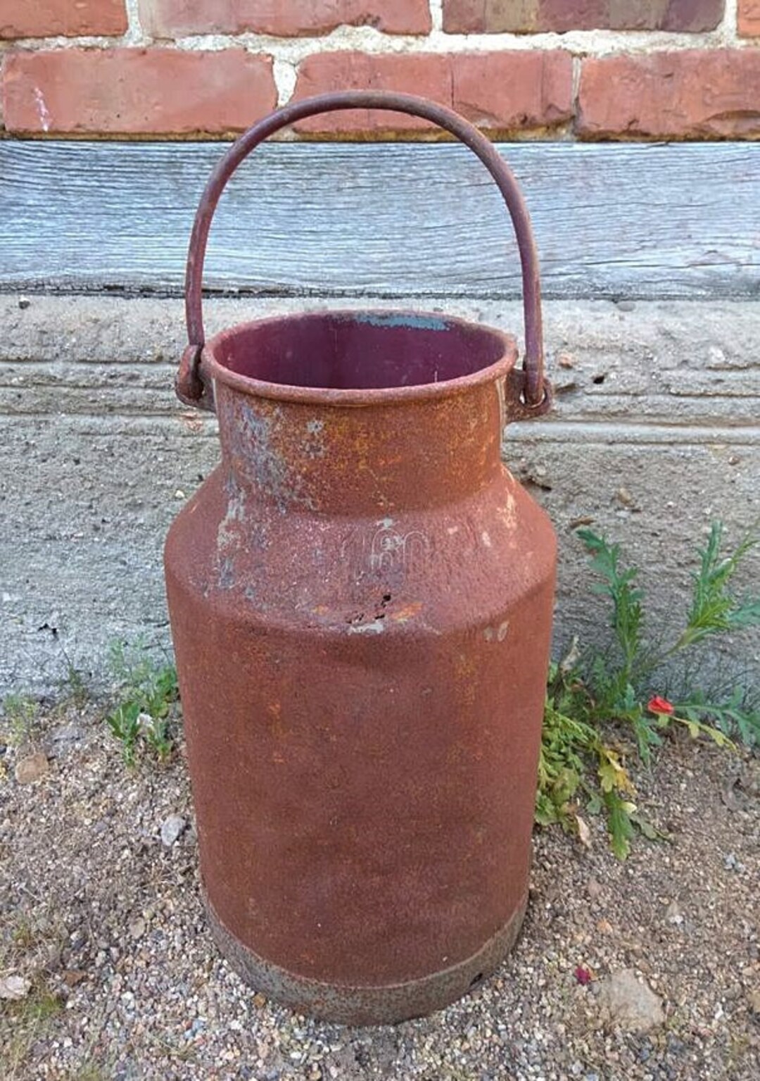 Old Rusty Milk Can, Leaky, Garden Decoration, Vintage Garden, Planter ...