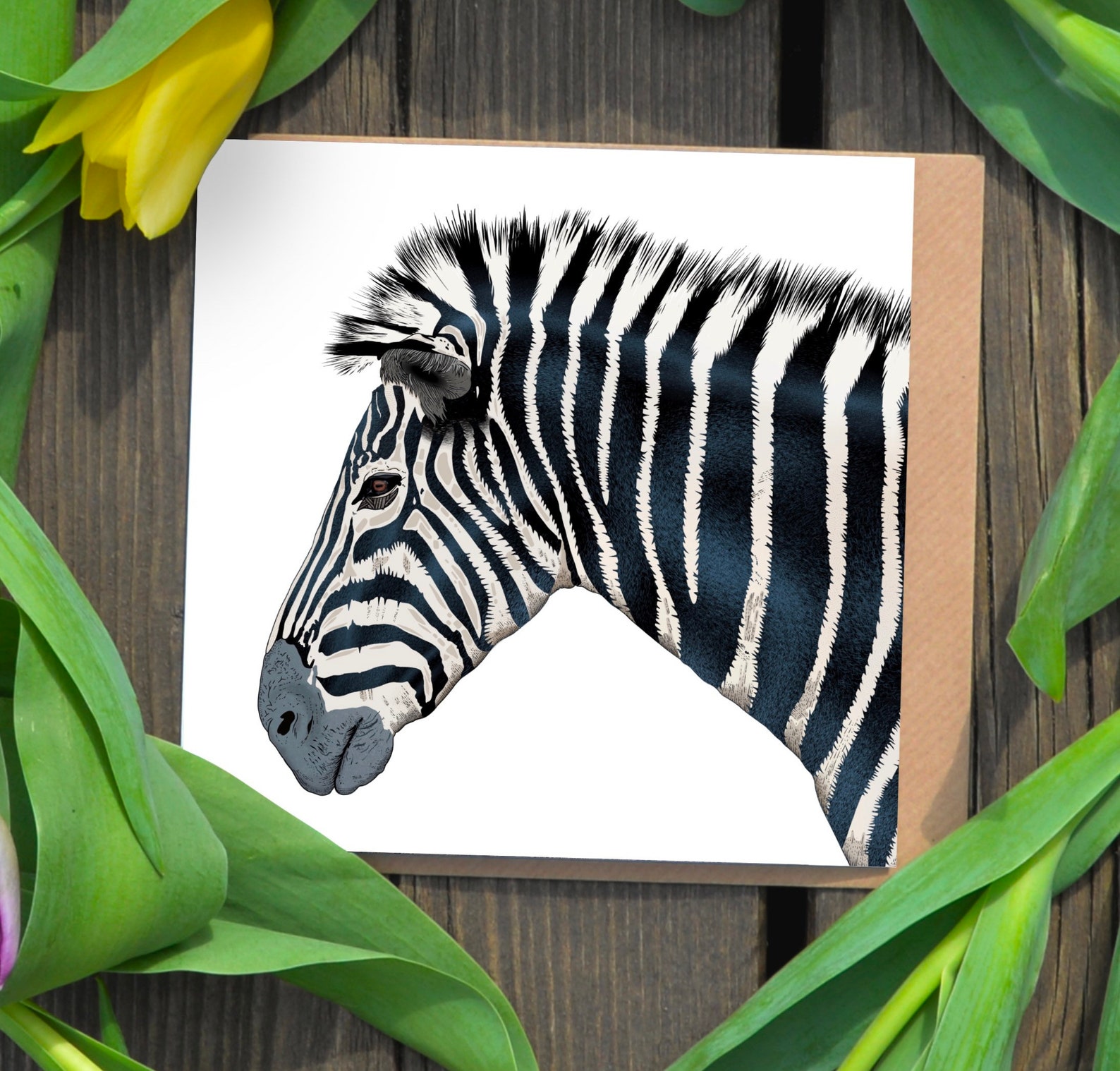 Zebra Greetings Card Animal Card Safari Card - Etsy