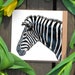Zebra Greetings Card Animal Card Safari Card - Etsy