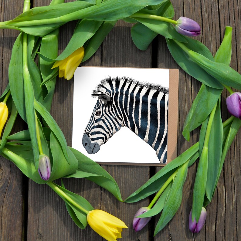 Zebra Greetings Card Animal Card Safari Card - Etsy
