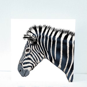 Zebra Greetings Card Animal Card Safari Card - Etsy