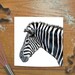 Zebra Greetings Card Animal Card Safari Card - Etsy