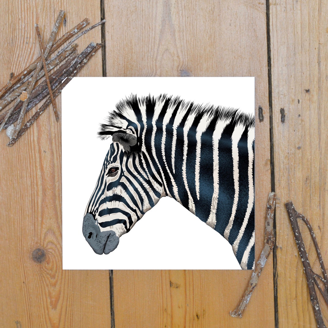 Zebra Greetings Card Animal Card Safari Card - Etsy