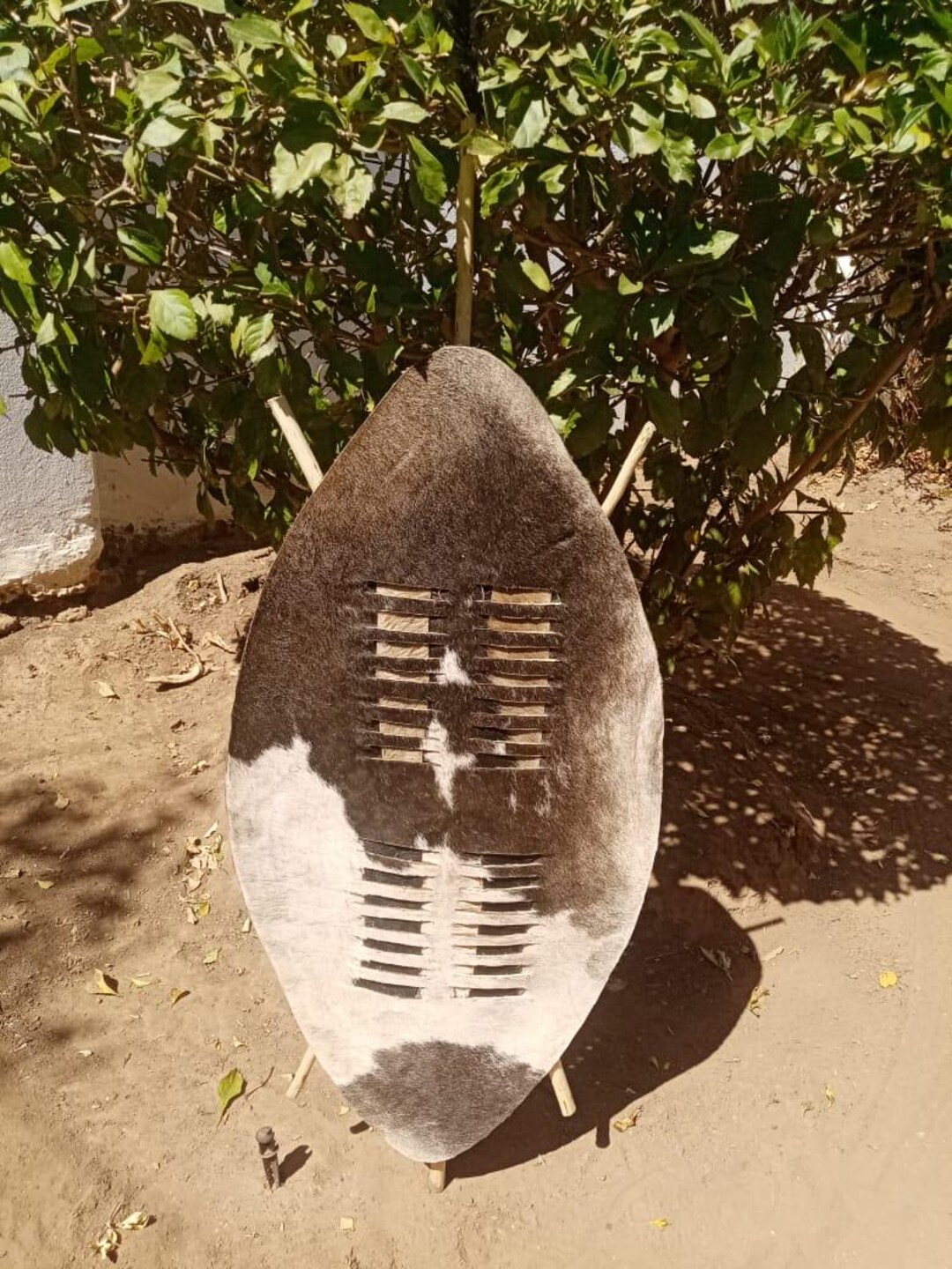 Authentic Black and White Zulu Shield Isihlangu 92cm Tall, Handcrafted ...