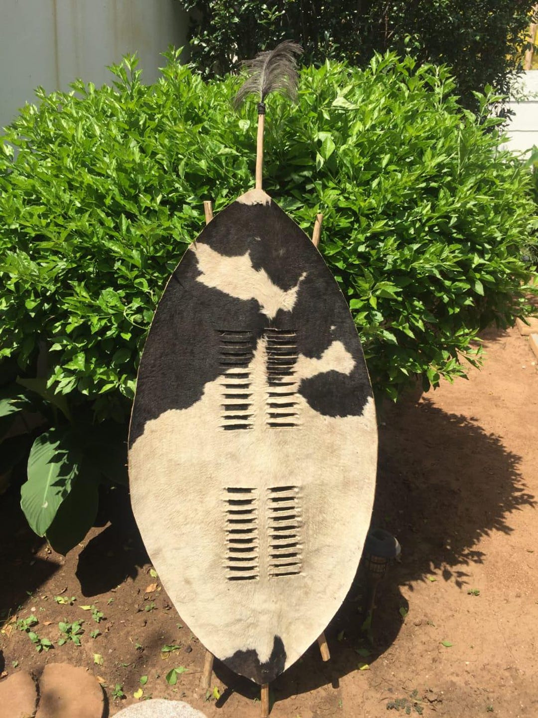 Black and White Extra Large Zulu Shield – 155cm Tall, Authentic Cowhide ...