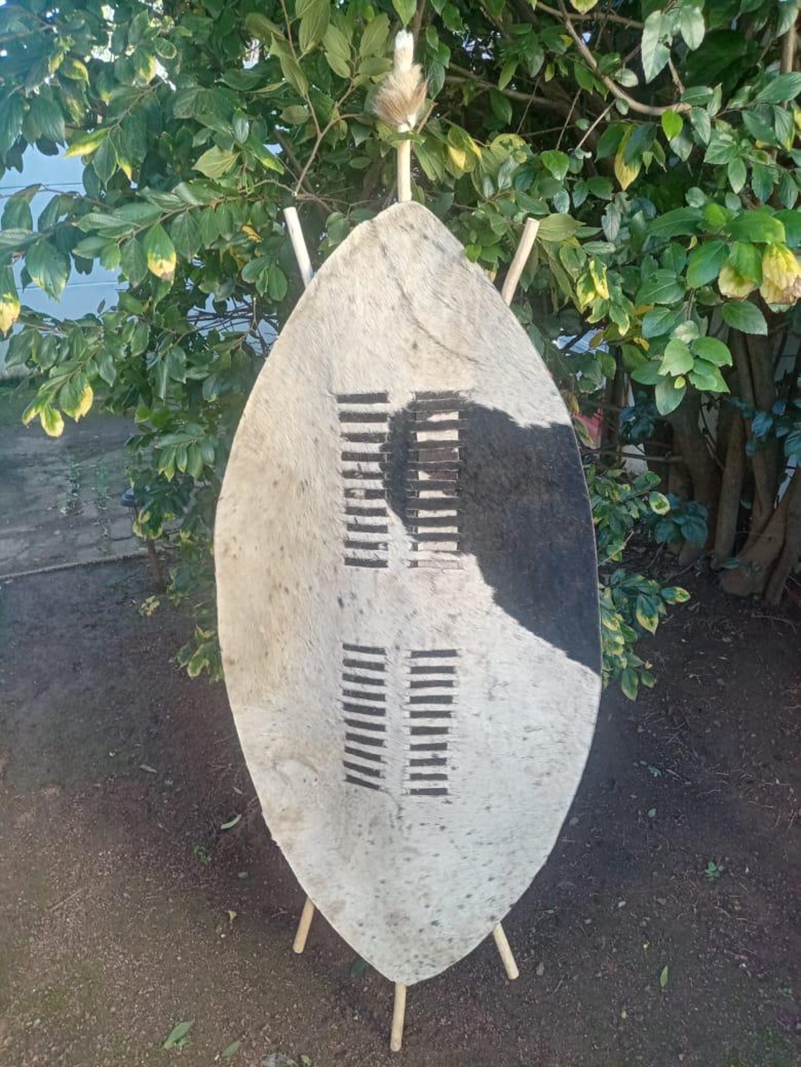 XXL 145cm Black and White Zulu Shield | Traditional African Warrior ...