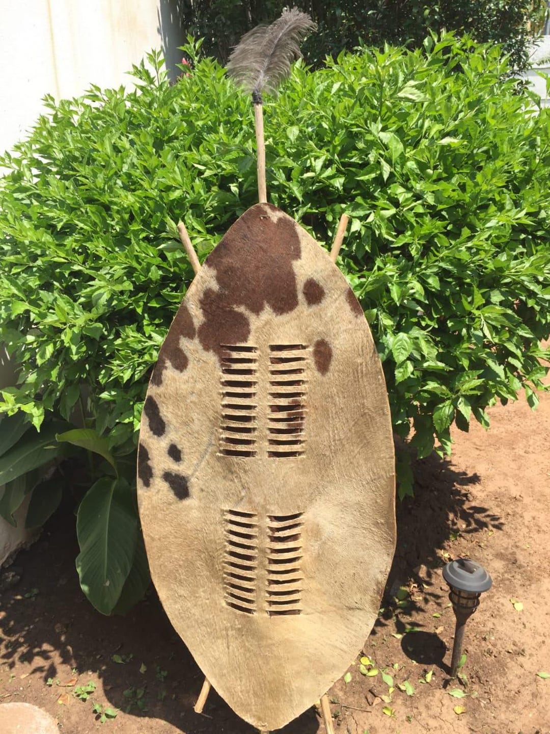 XL Brown and White African Zulu Traditional Cultural Shield - Etsy