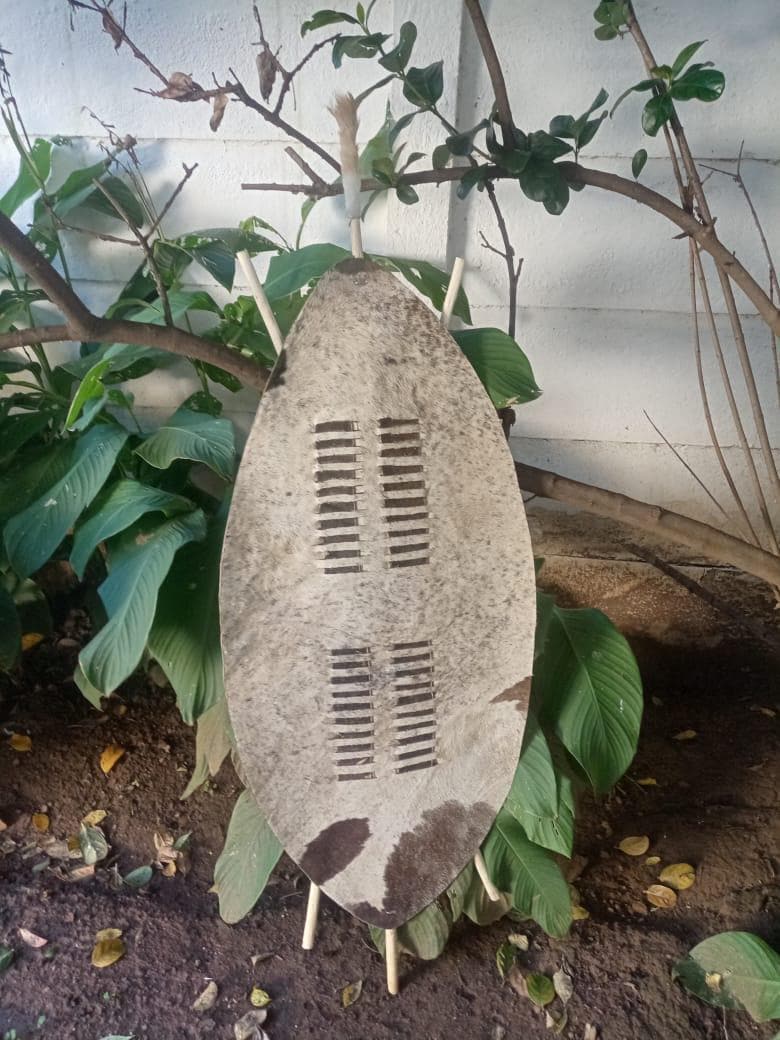 Extra Large Grey & White Zulu Shield | 145cm X 55cm Genuine Cowhide ...