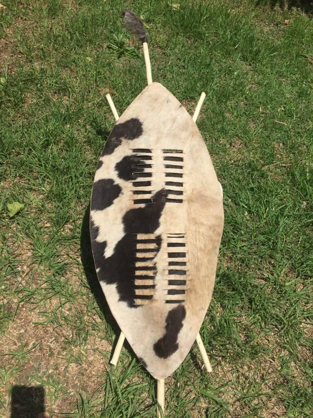 Authentic Black and White Zulu Shield Isihlangu– 92cm Tall, Handcrafted ...