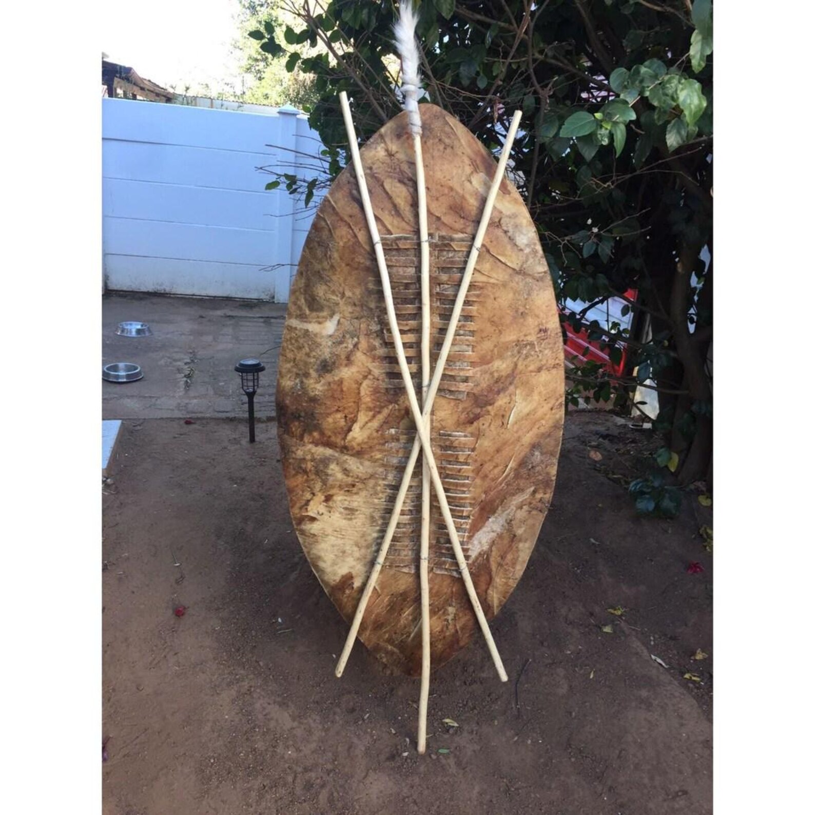 XXL 145cm Black and White Zulu Shield | Traditional African Warrior ...
