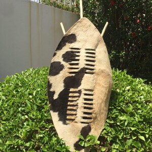 Authentic Black and White Zulu Shield Isihlangu 92cm Tall, Handcrafted ...