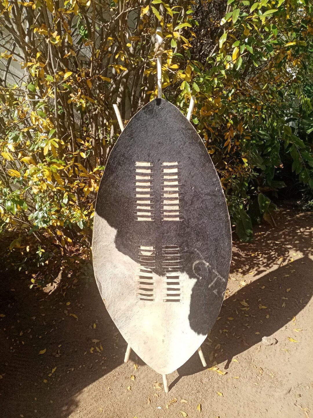 XXL 145cm Black and White Zulu Shield | Traditional African Warrior ...