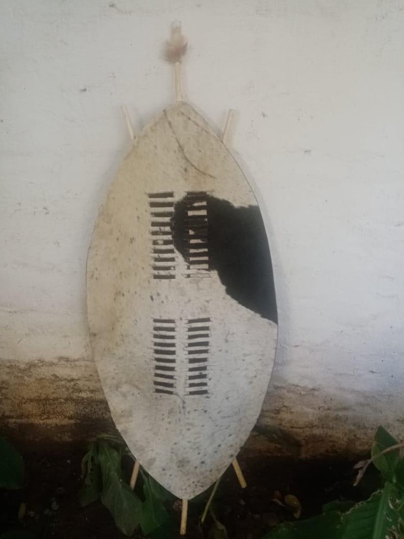 XXL 145cm Black and White Zulu Shield | Traditional African Warrior ...