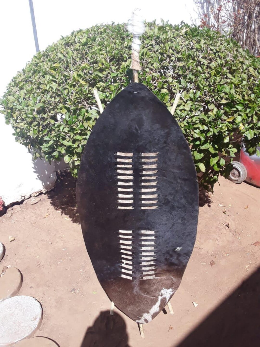 Extra Large Zulu Shield 155cm Black and White Cowhide Traditional ...
