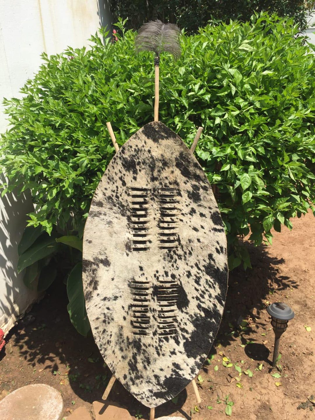 Black and White Extra Large Zulu Shield – 155cm Tall, Authentic Cowhide ...