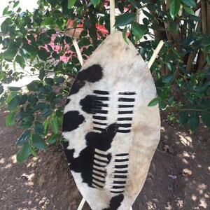 Authentic Black and White Zulu Shield Isihlangu 92cm Tall, Handcrafted ...
